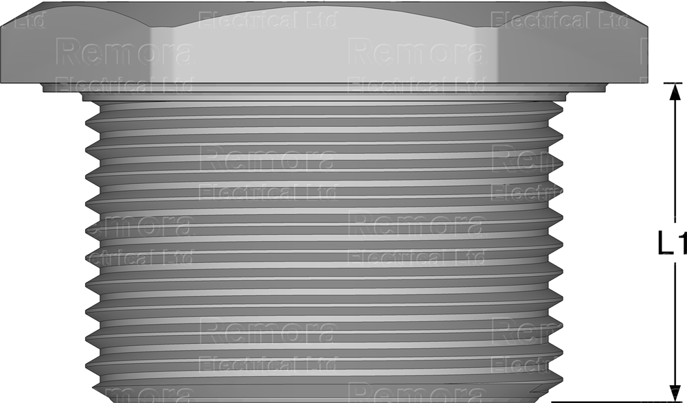 NPT Hazardous Hex Head Stopping Plug - Brass - Unplated - Remora ...